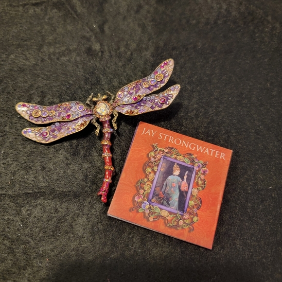 Jay Strongwater | Jewelry | Large Jay Strongwater Dragonfly Brooch Pin ...